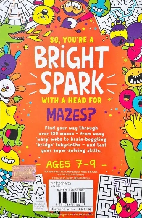 Mazes For Bright Sparks – Books and You