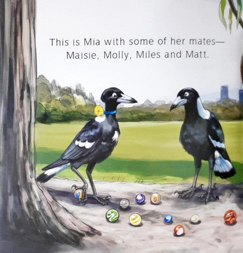 Messiest Magpie - Little Mates – Books and You