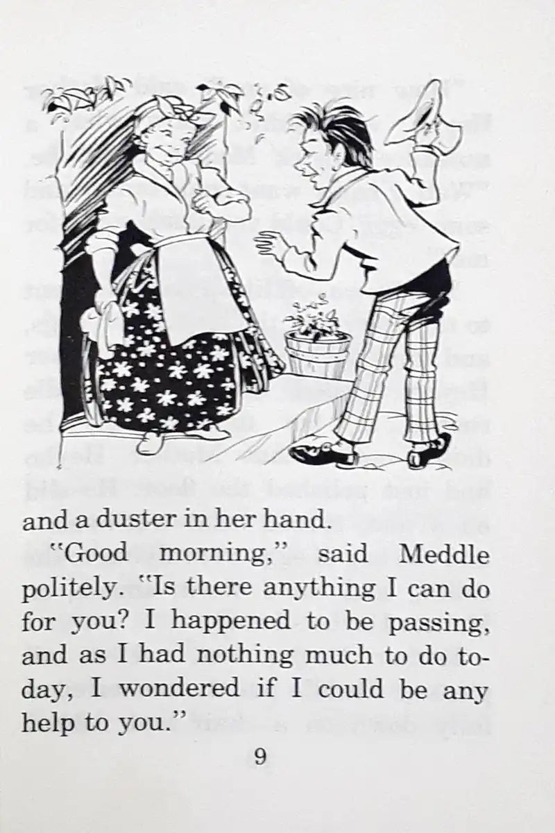 Mr. Meddle's Mischief (HC) (P) – Books and You