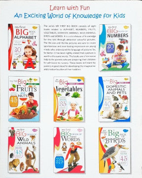 My First Big Book Of Alphabet – Books and You