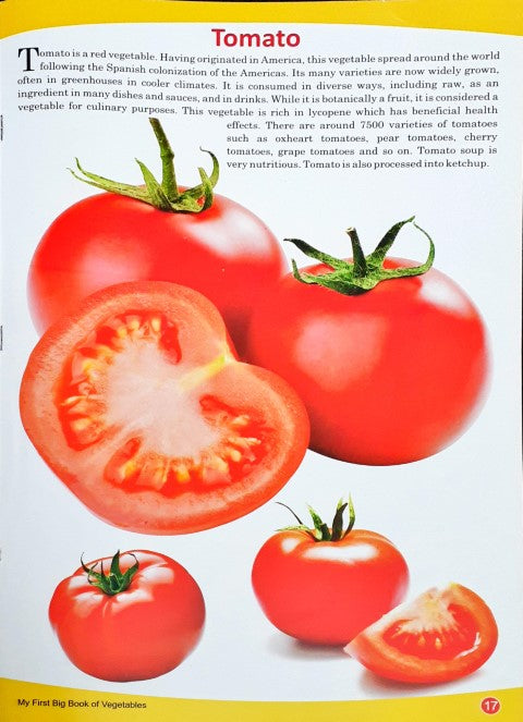 My First Big Book of Vegetables – Books and You