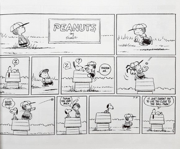 Peanuts Comic Collection Butterflies Like Me – Books and You