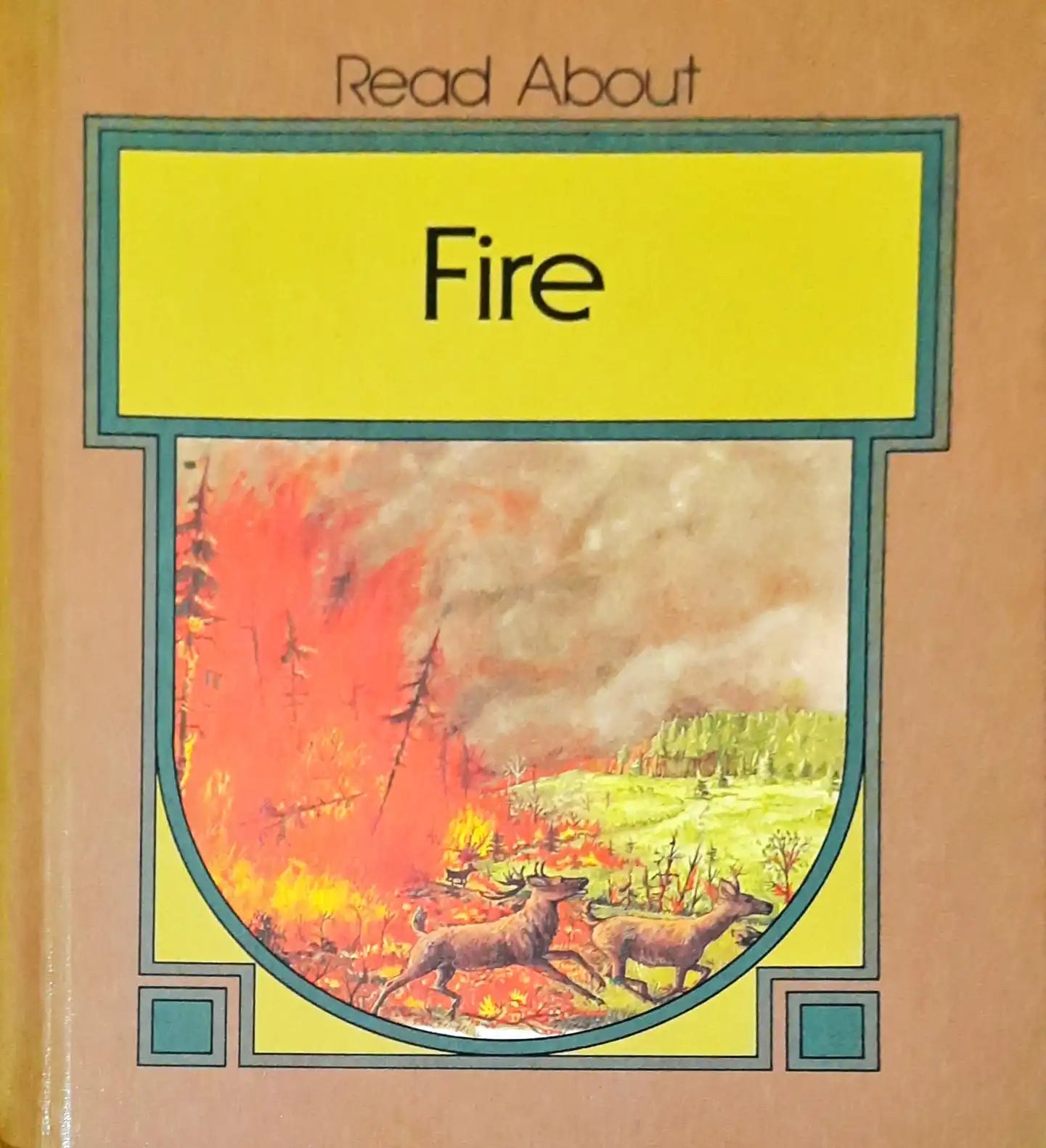 Read About Fire (HC) (P) – Books and You