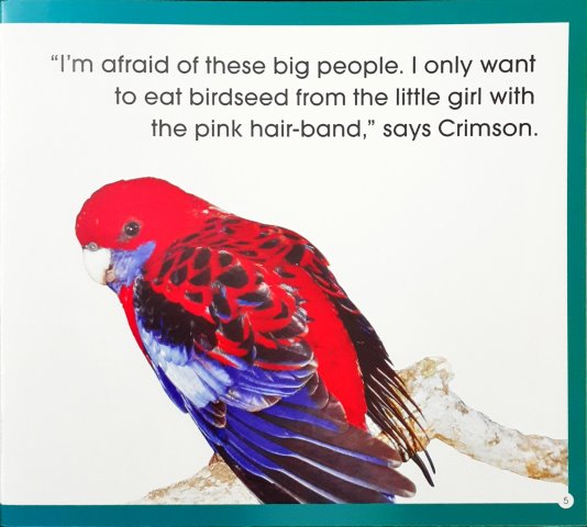 Read Along Stories Crimson Rosella's Birdseed – Books and You