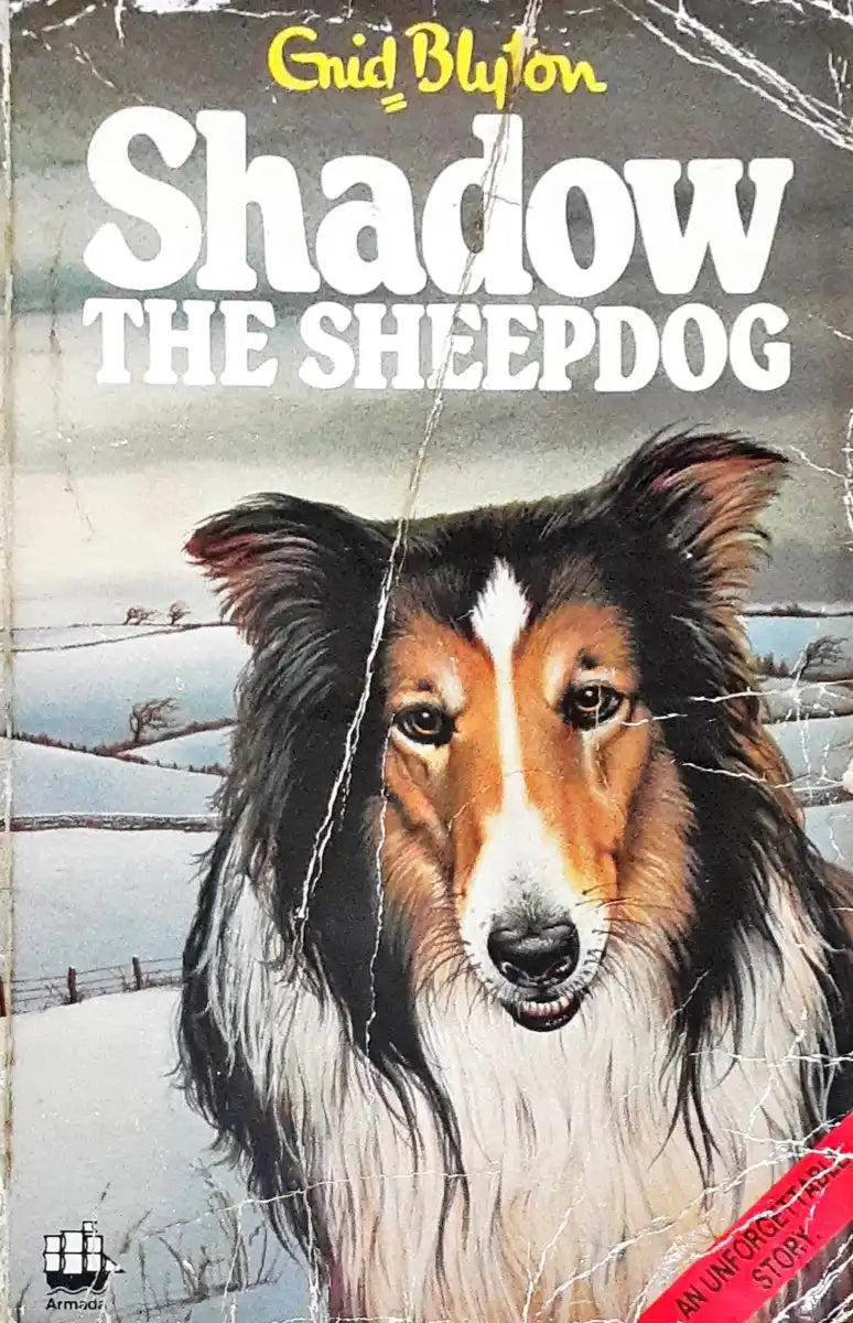 Shadow The Sheepdog (P) – Books and You
