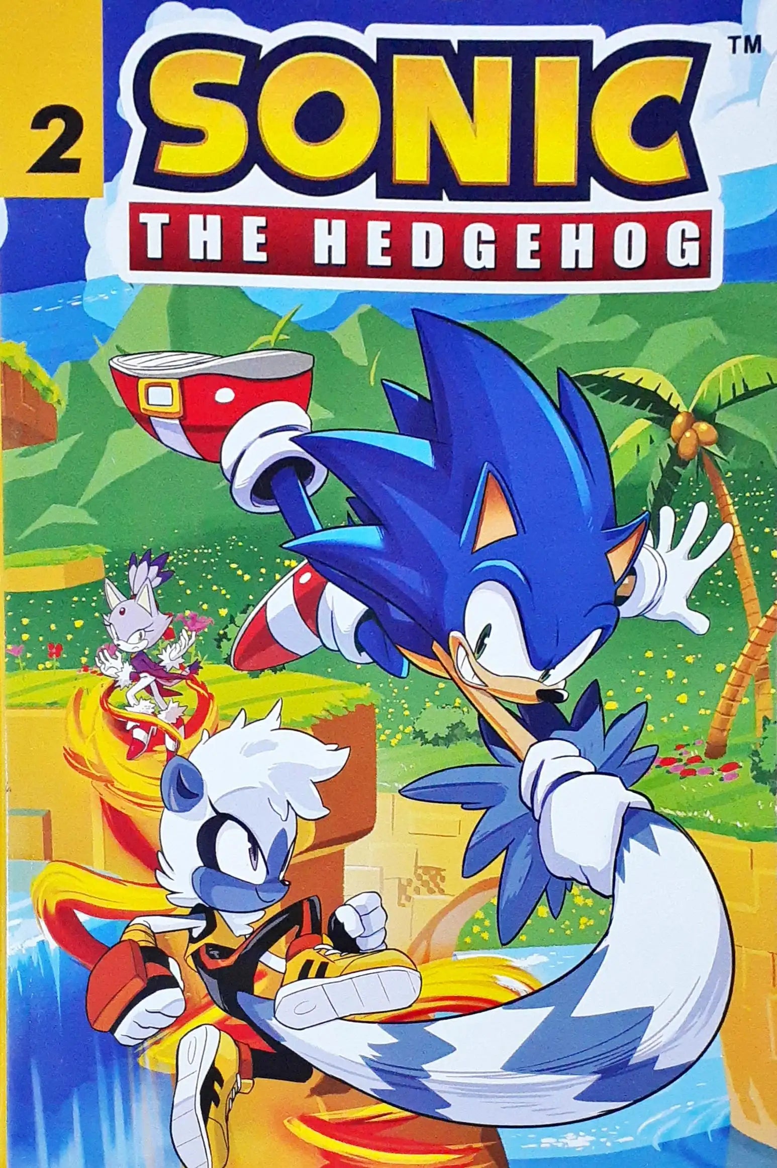 Sonic the Hedgehog #2 – Books and You