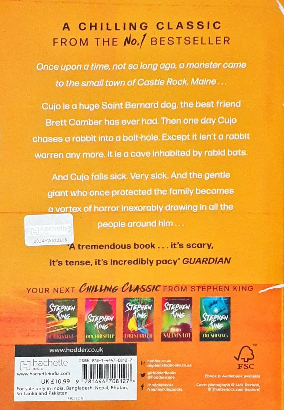 Cujo – Books and You