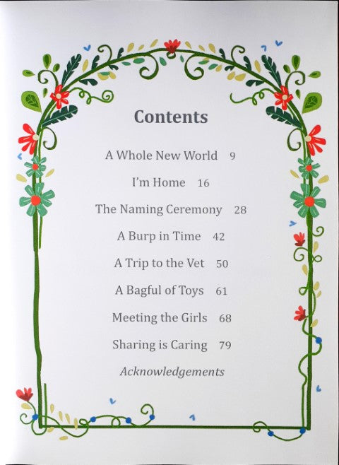 The Gopi Diaries : Coming Home – Books and You