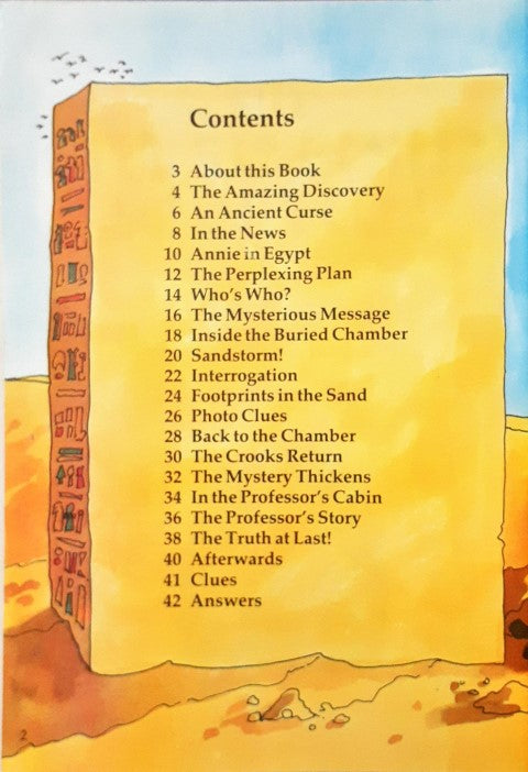 Usborne Solve It Yourself The Curse Of The Lost Idol – Books and You