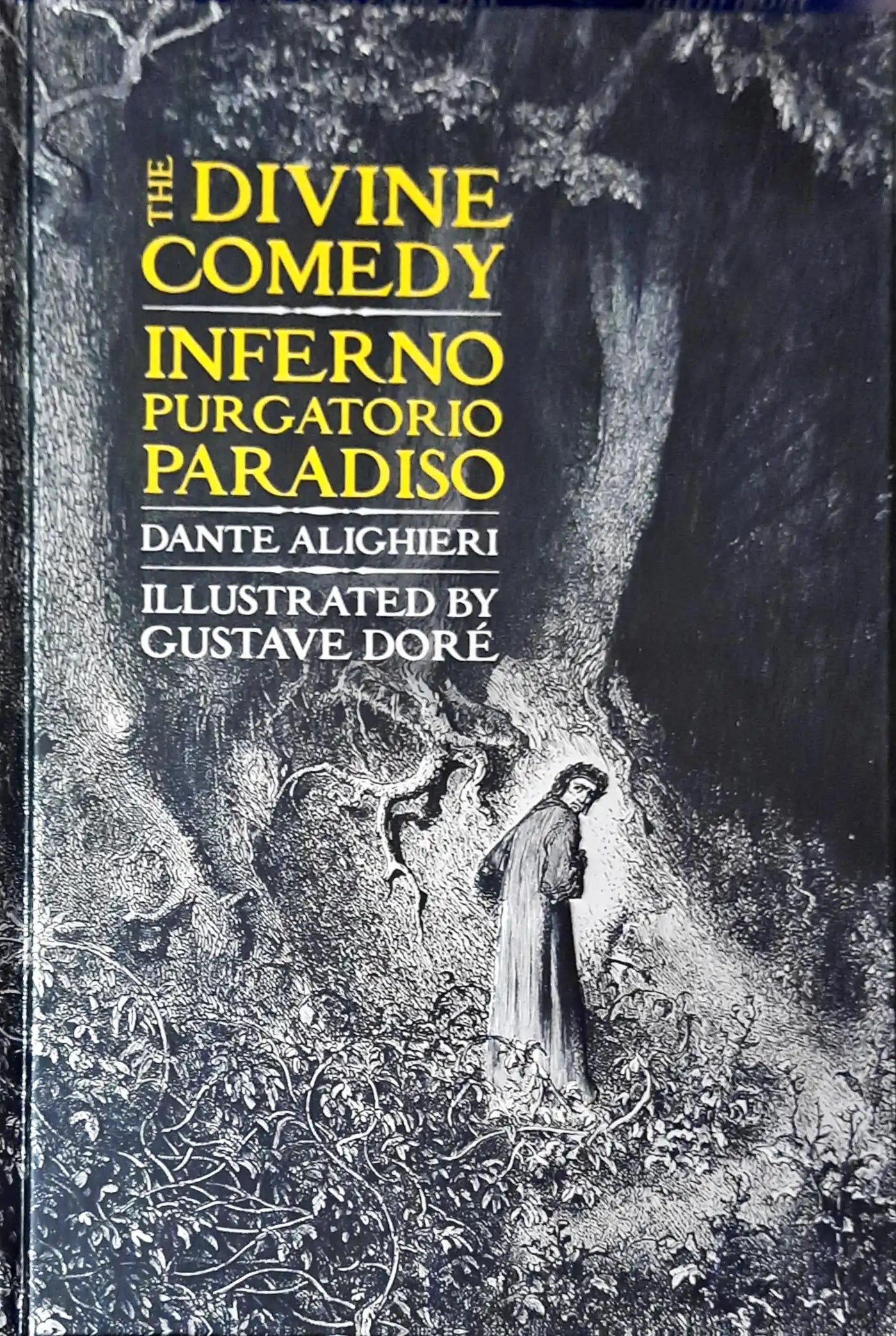 The Divine Comedy – Books and You