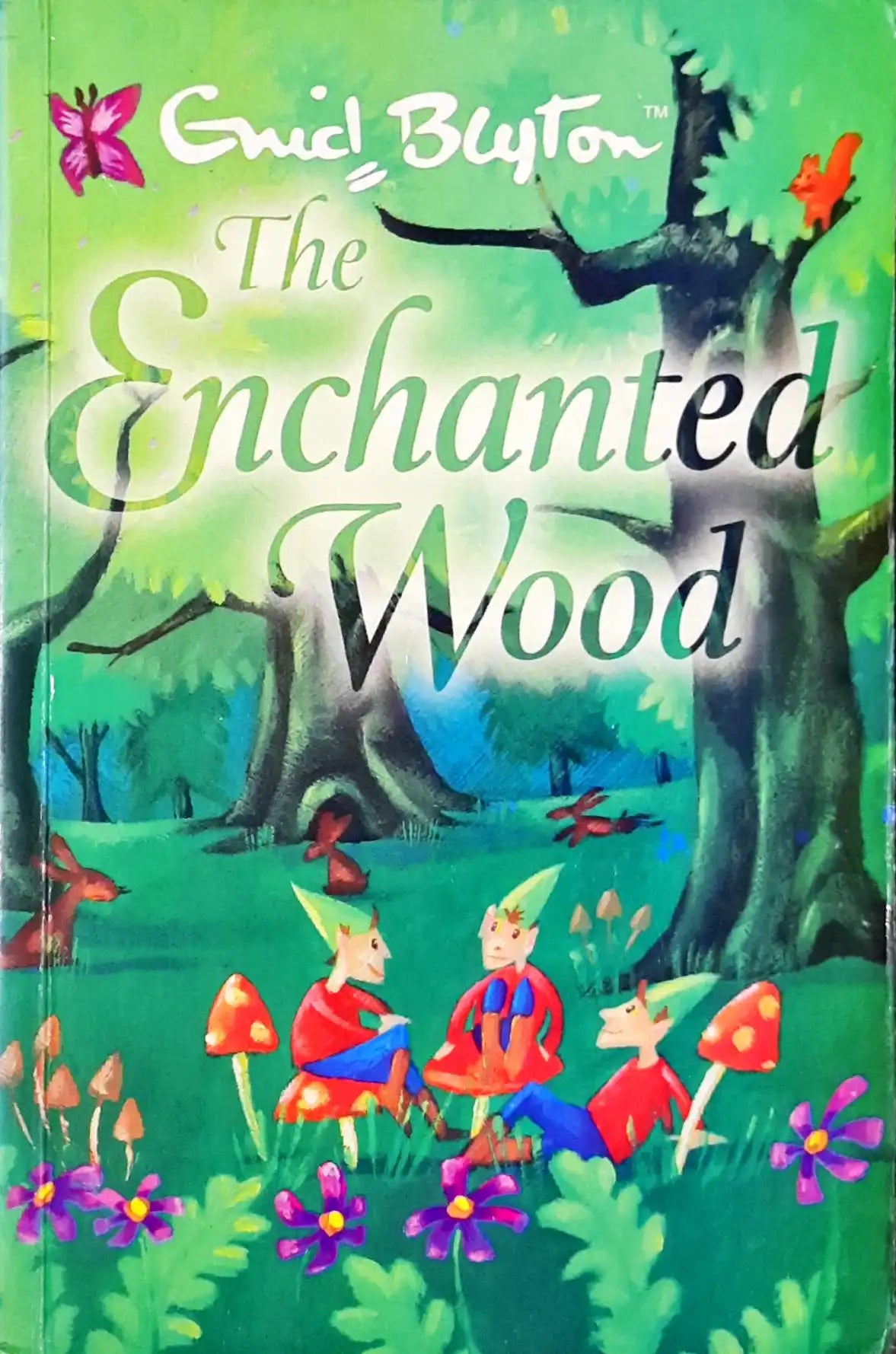 The Magic Faraway Tree #1 The Enchanted Wood (P) – Books and You