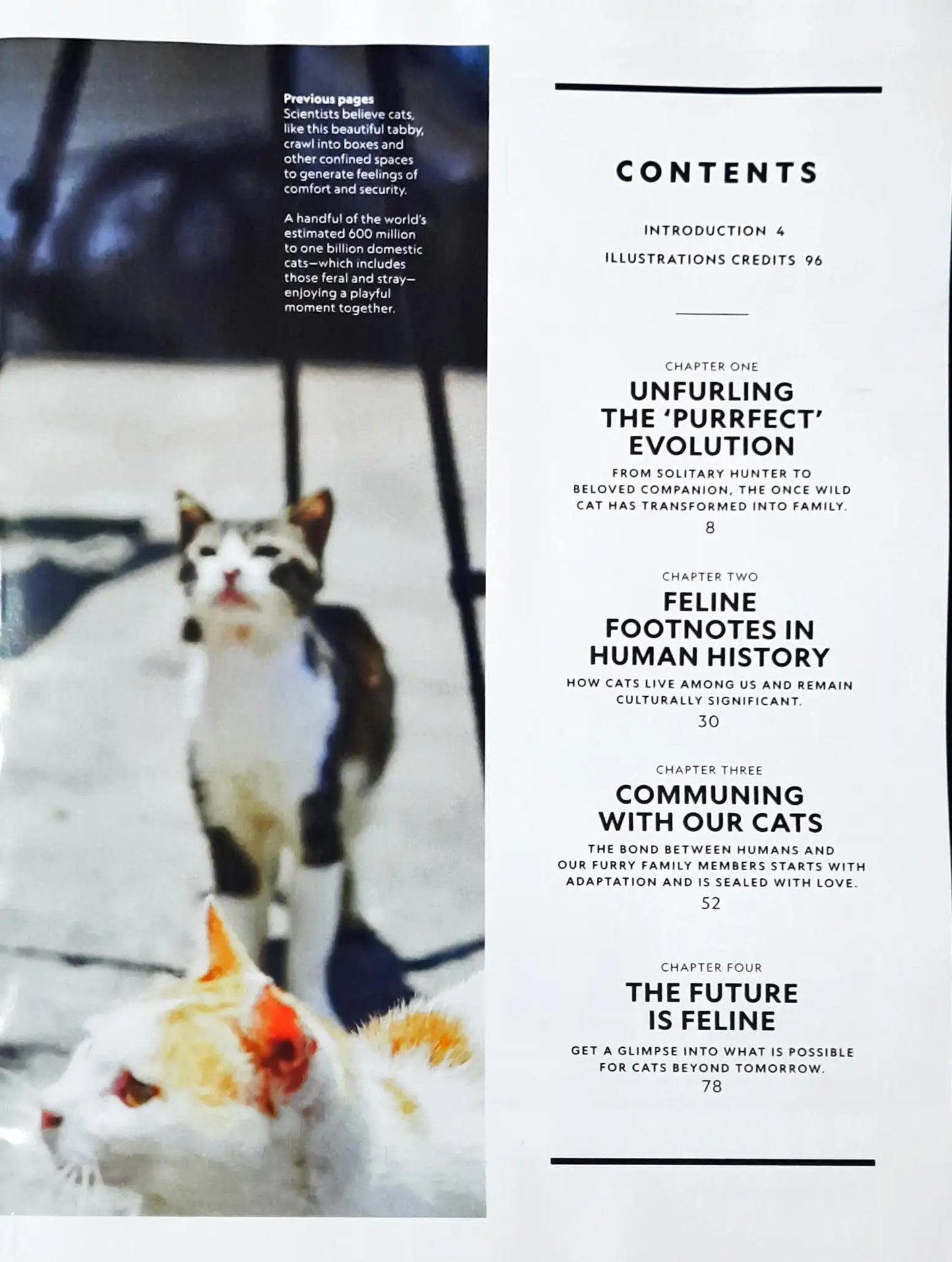 National Geographic : The Genius of Cats – Books and You