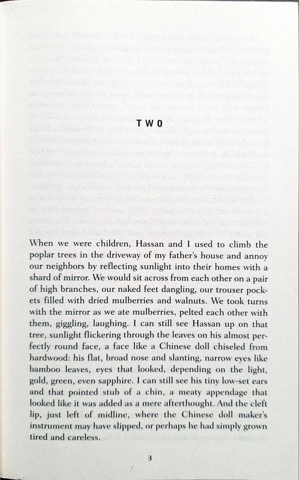 The Kite Runner – Books and You