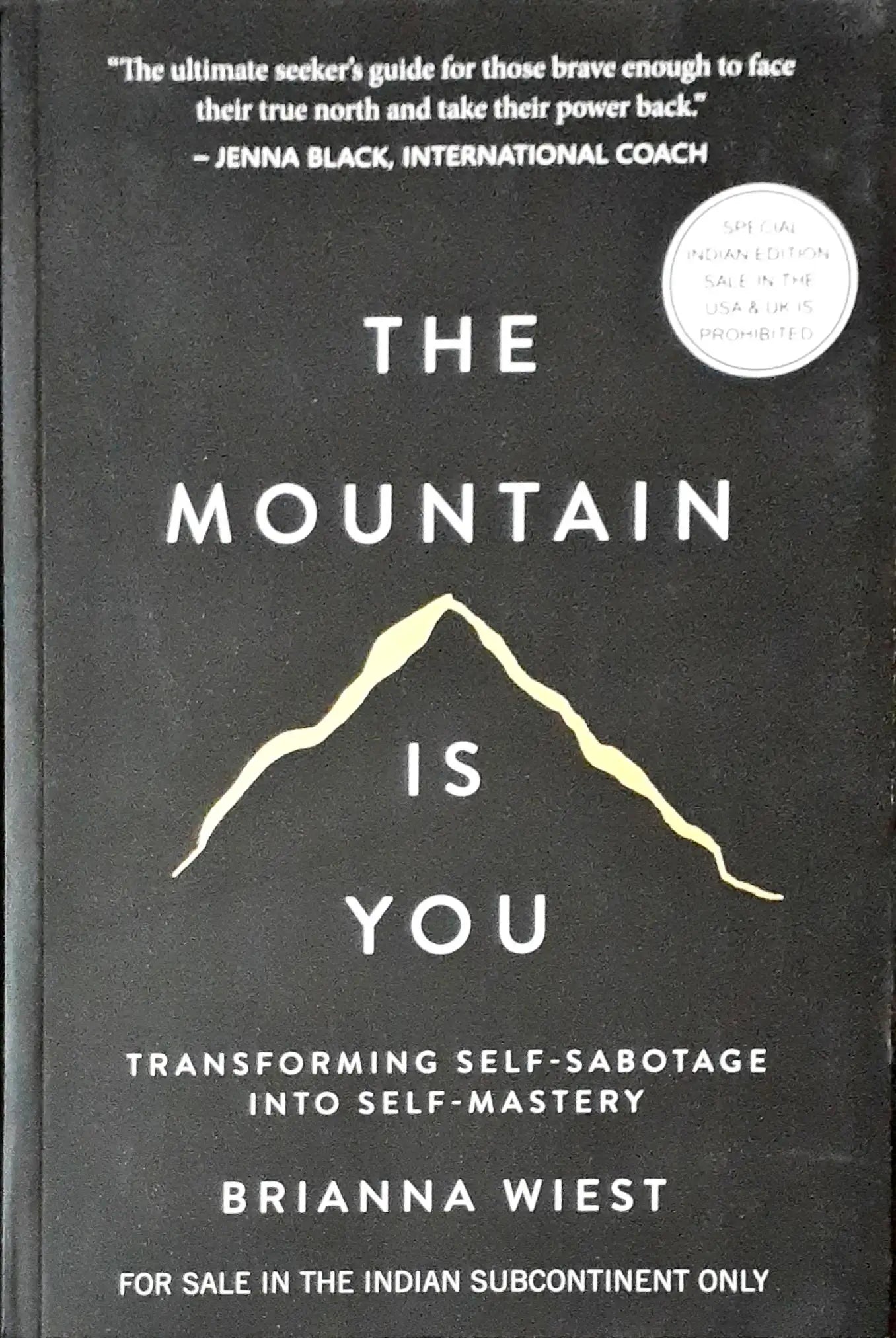 The Mountain Is You: Transforming Self-Sabotage Into Self-Mastery ...