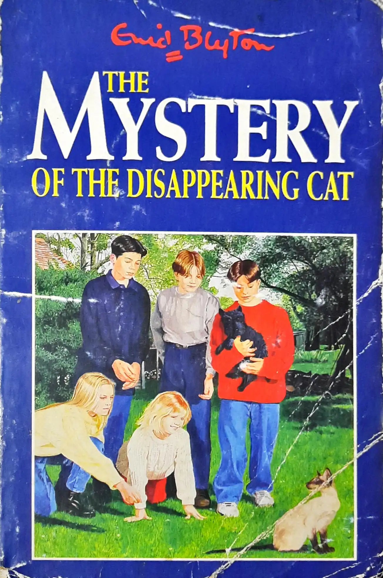 The Five Find-Outers #2 : The Mystery of the Disappearing Cat (P ...