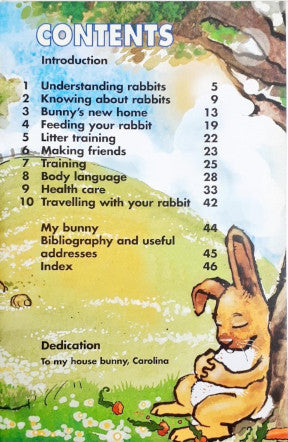 The Really Useful Bunny Guide – Books and You