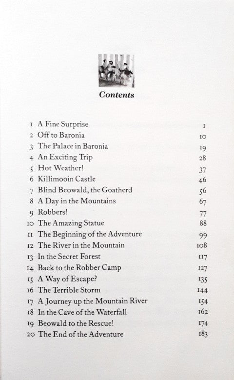 The Secret Stories The Secret Forest – Books and You