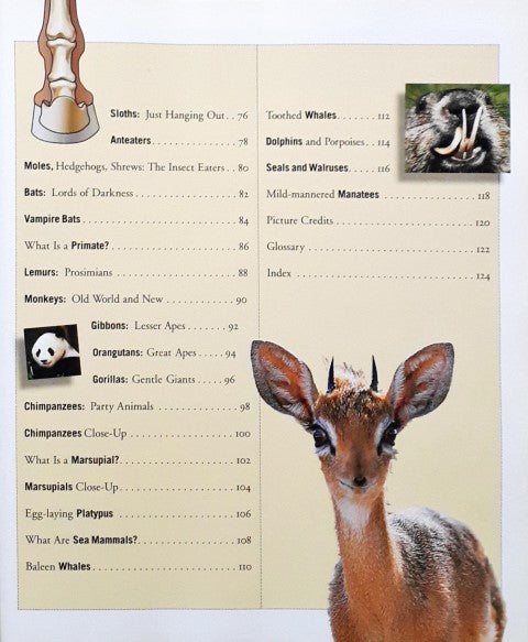 Time Life Student Library Mammals – Books and You