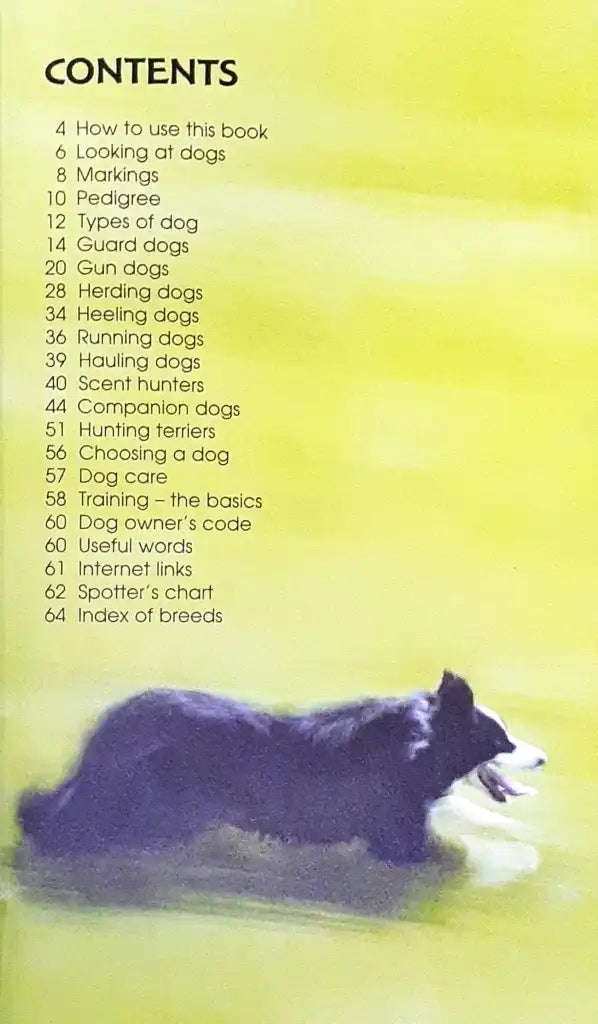 Usborne Spotter's Guides Dogs – Books and You