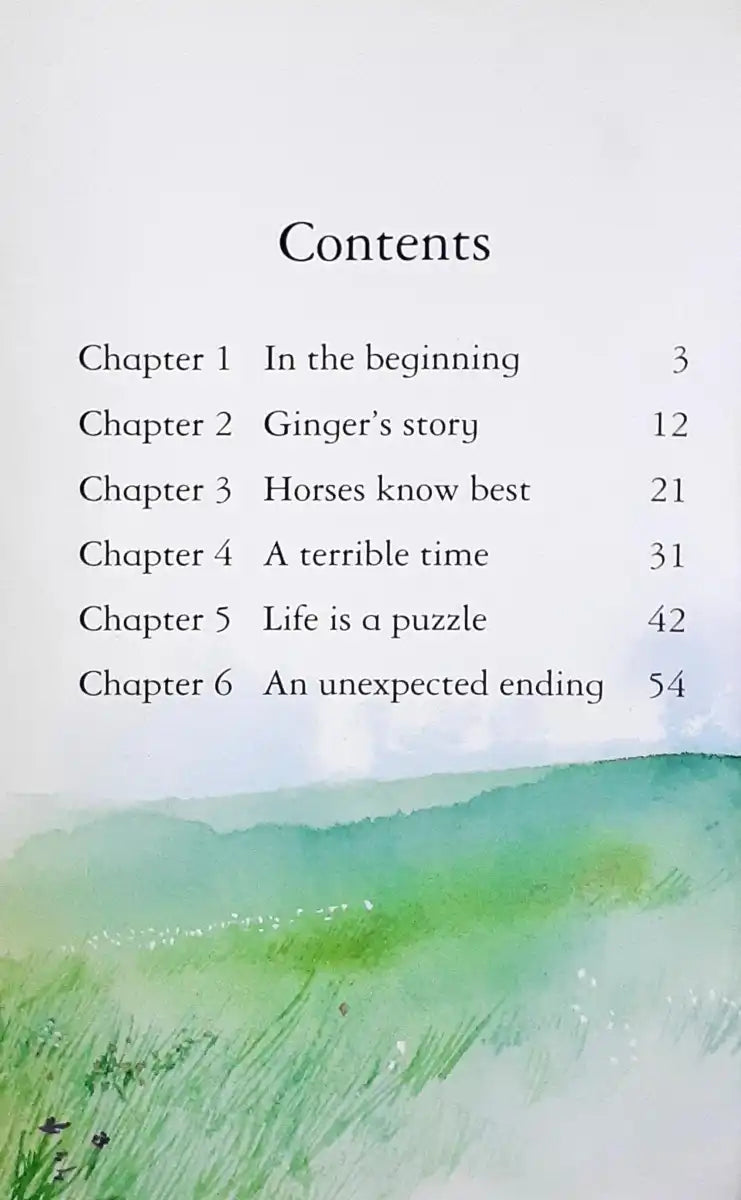 Usborne Young Reading Black Beauty – Books and You