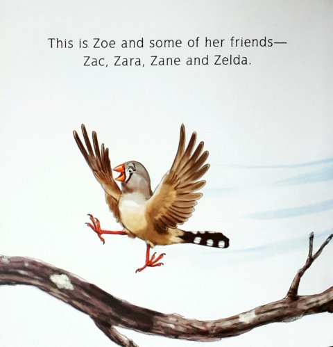 Zippiest Zebra Finch - Little Mates – Books and You